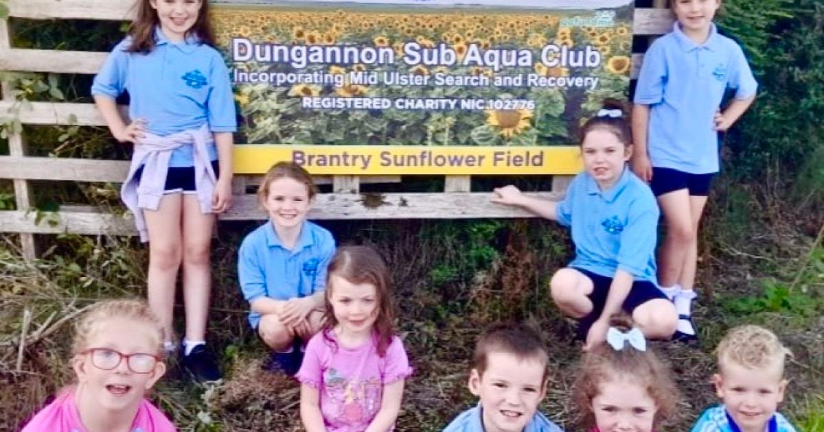 Brantry Sunflower Field and Dungannon Sub Aqua on crest of charity wave ...