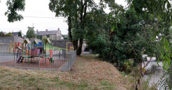 Calls for increased security at Coagh play park after child walks ...
