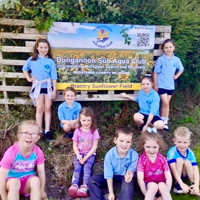 Brantry Sunflower Field and Dungannon Sub Aqua on crest of charity wave ...
